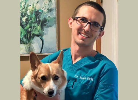Veterinarian In DeWitt, MI 48820 | DeWitt Veterinary Hospitals, P.C.